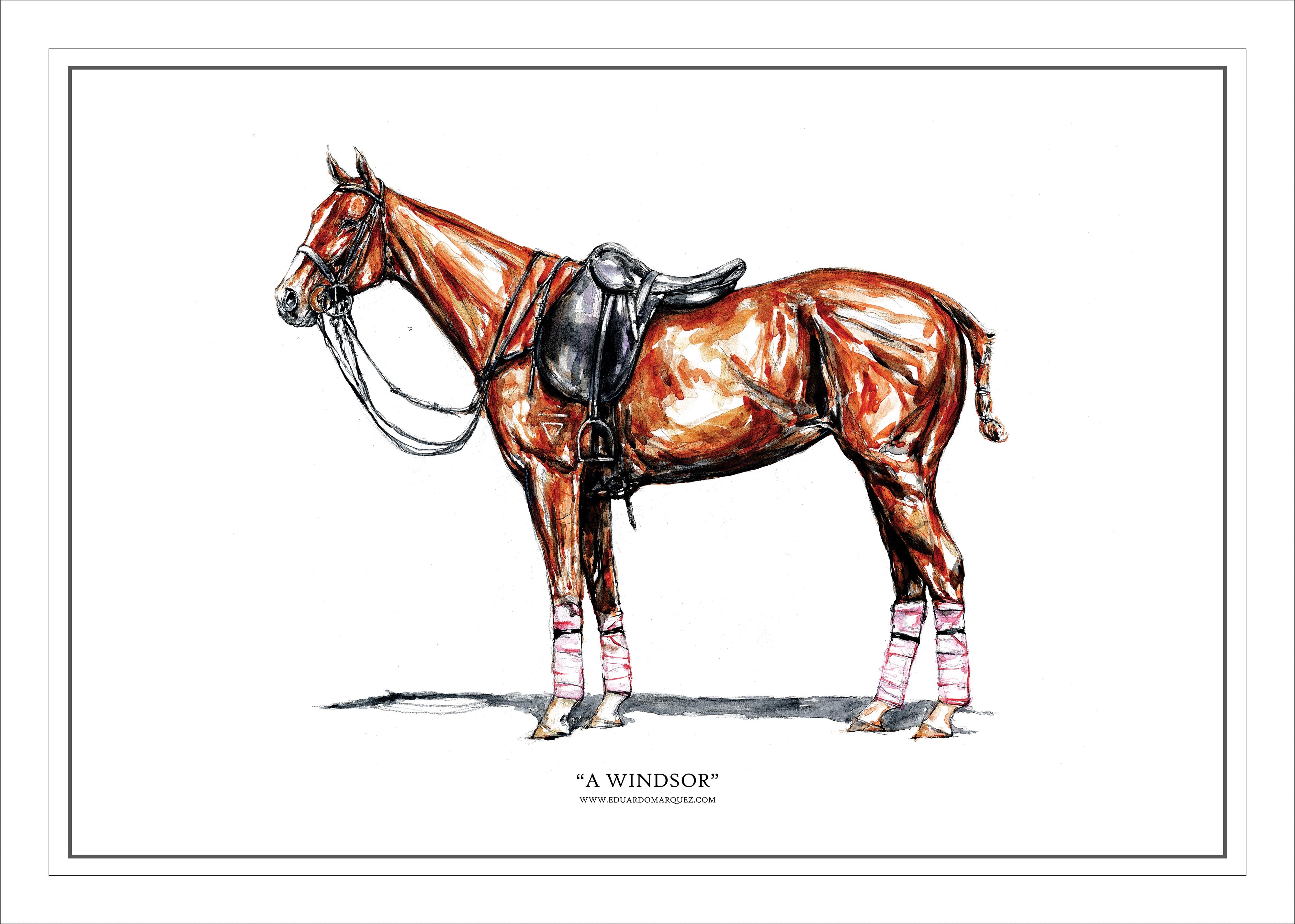 LIMITED EDITION PRINTS – Marquez Gallery