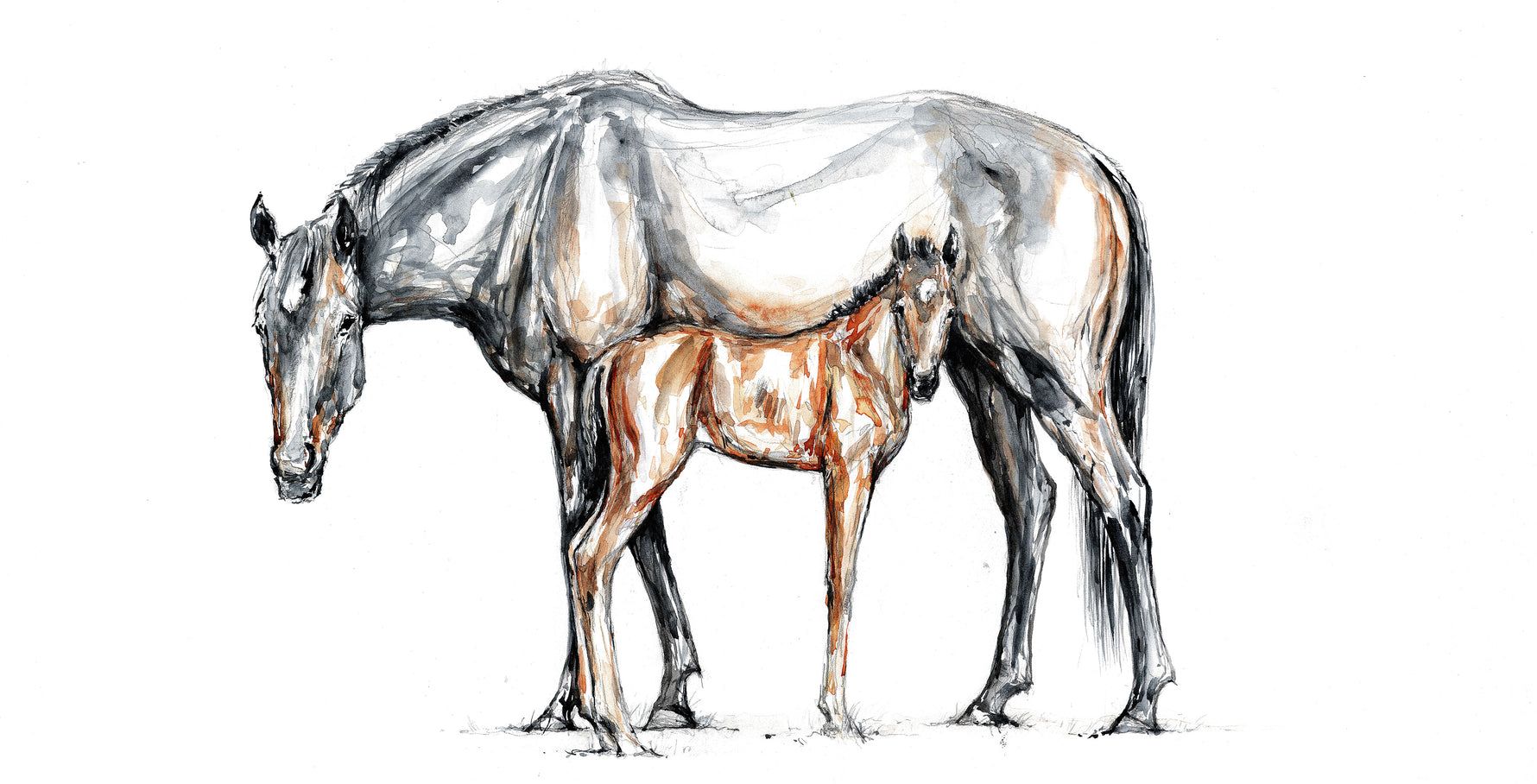 Eduardo Marquez – Marquez Gallery